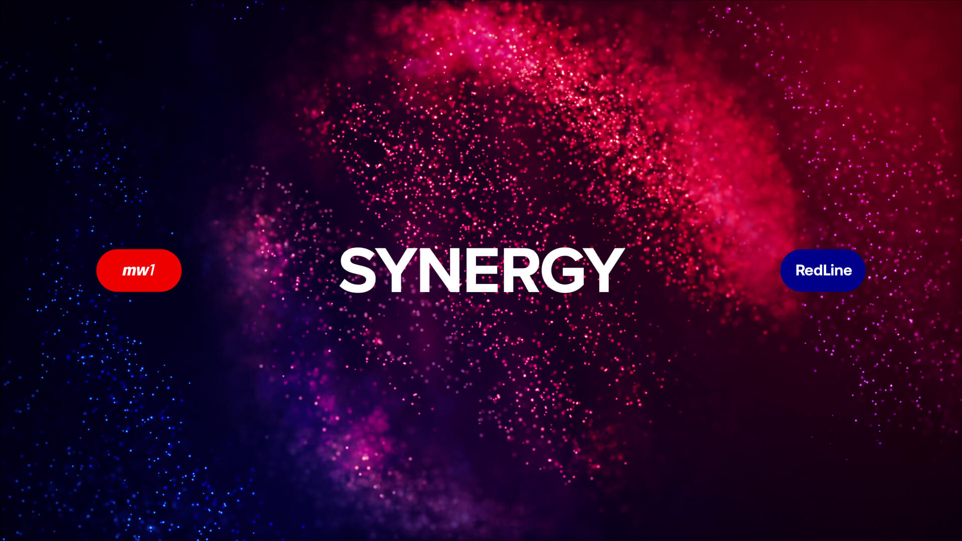 synergy for logistics – mw1group